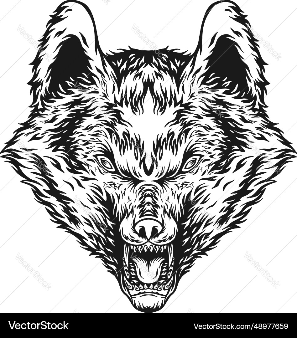 Vicious wolf haunting stare monochrome Royalty Free Vector