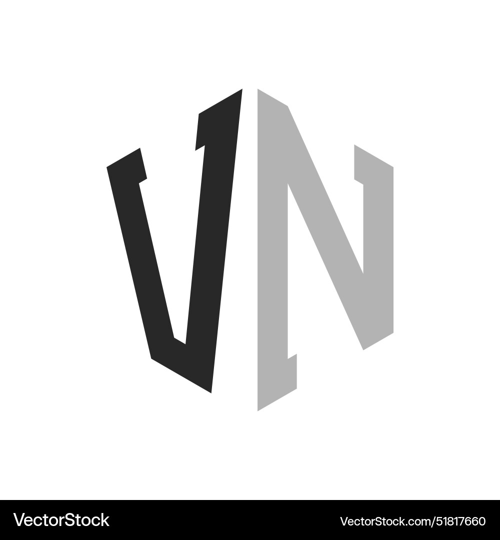 Modern unique hexagon letter vn logo design Vector Image