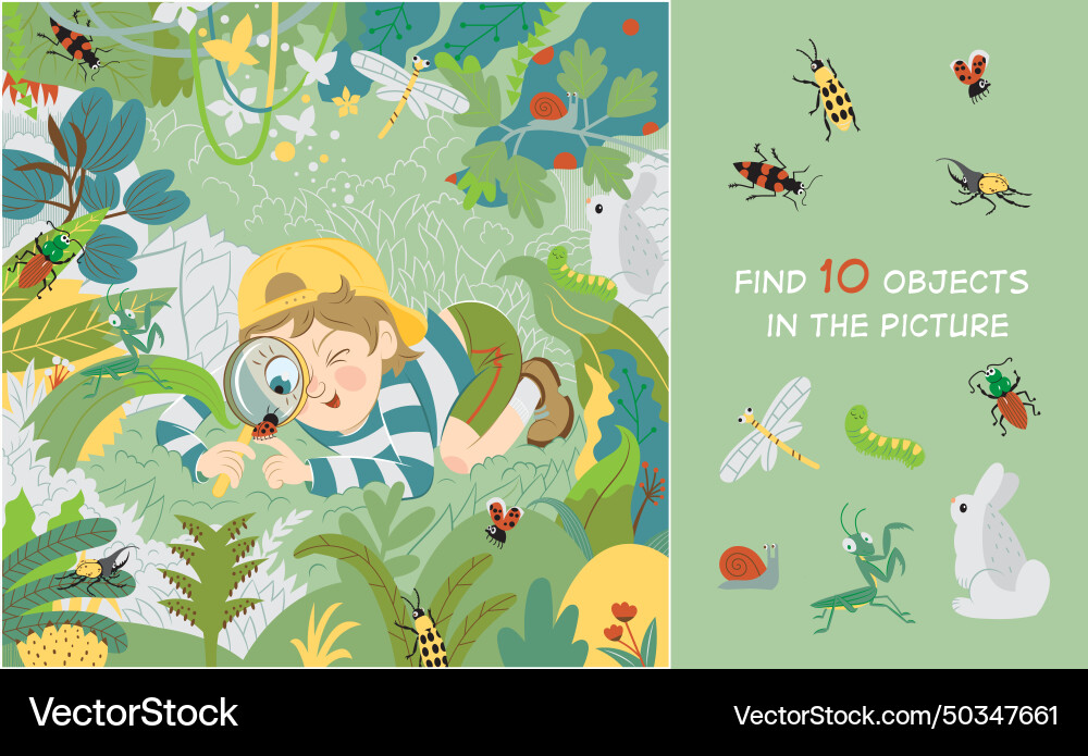 Insects Royalty Free Vector Image - VectorStock