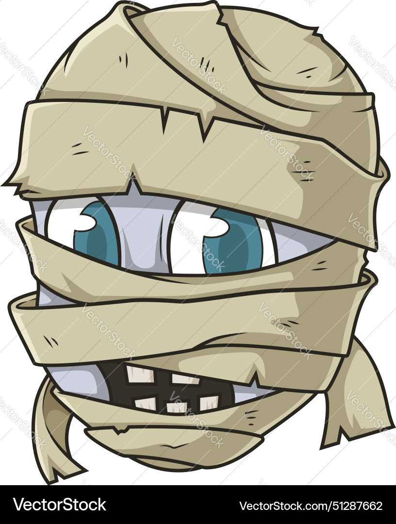 Egyptian mummy head Royalty Free Vector Image - VectorStock