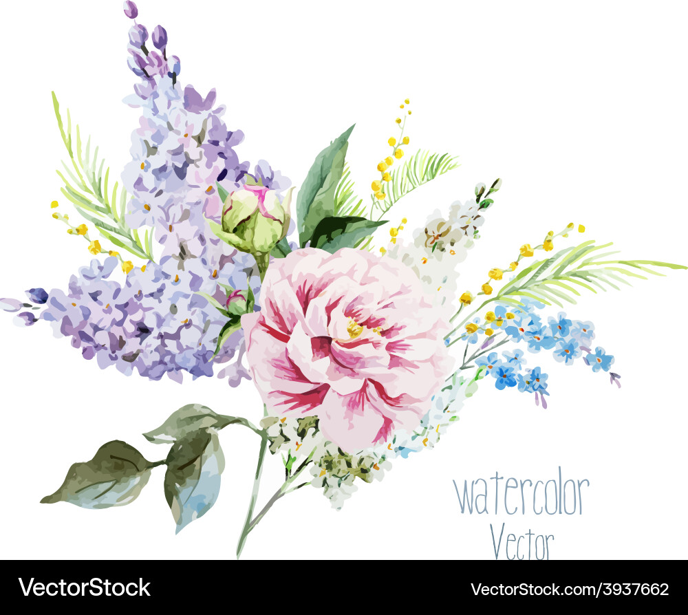 Lilac bouquet Royalty Free Vector Image - VectorStock