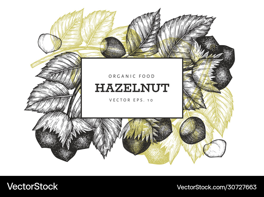 Hand drawn sketch hazelnut design template Vector Image