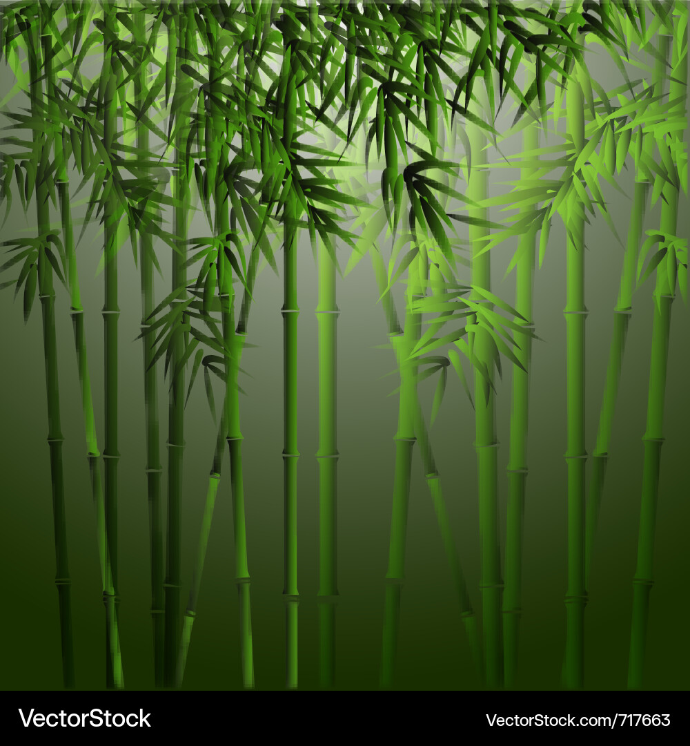 Realistic bamboo Royalty Free Vector Image - VectorStock