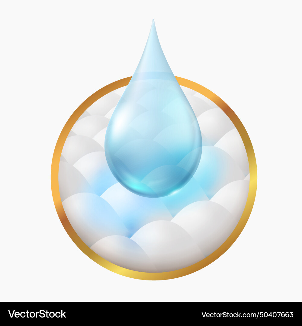 Water absorbent pad icon Royalty Free Vector Image