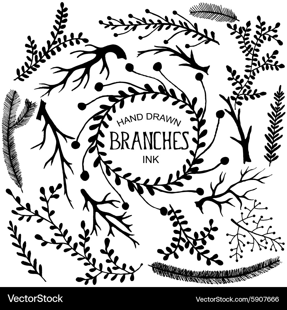 Hand drawn branches Royalty Free Vector Image - VectorStock