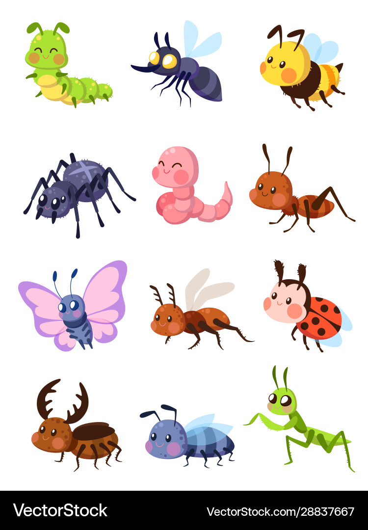 Cartoon insects cute grasshopper and ladybug Vector Image