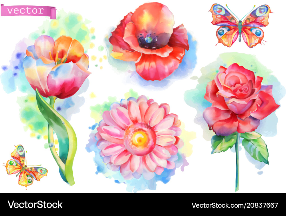 Spring flowers set watercolor Royalty Free Vector Image