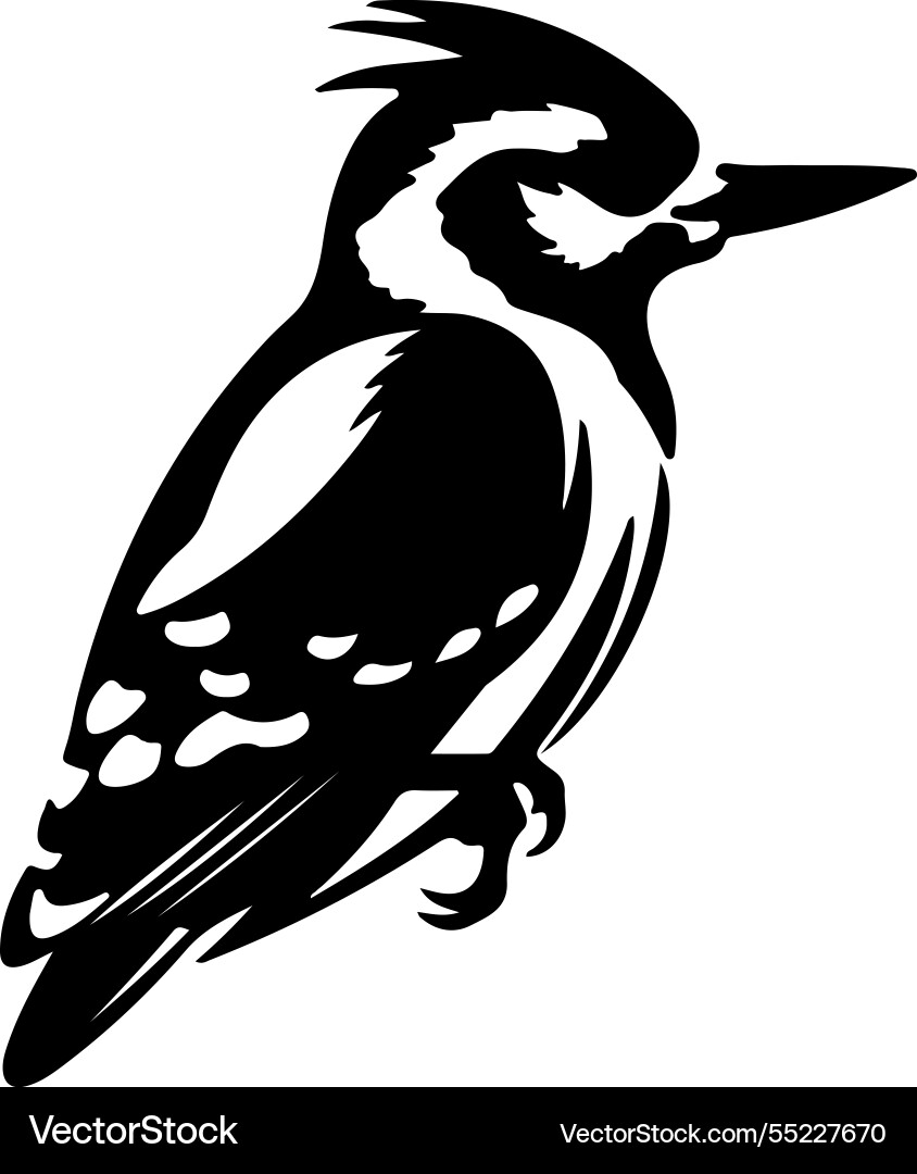 Downy woodpecker silhouette Royalty Free Vector Image