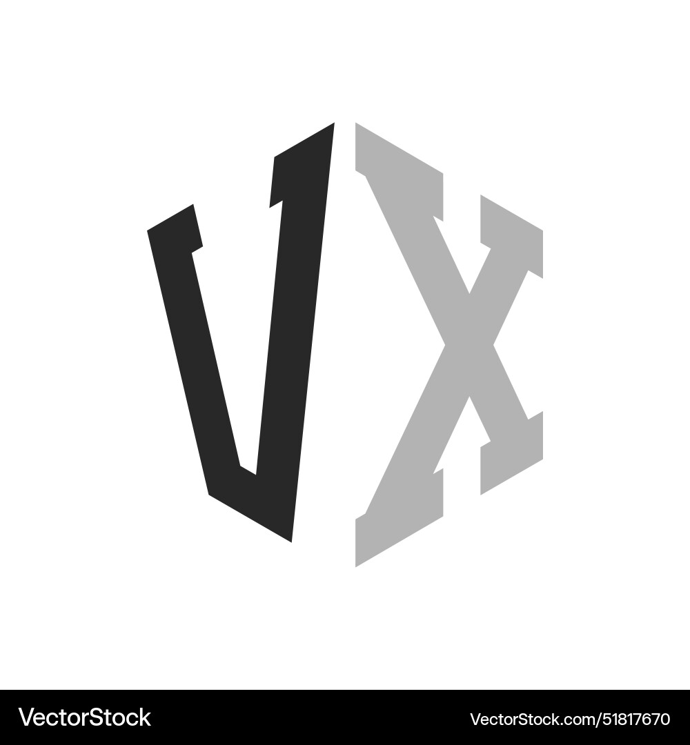 Modern unique hexagon letter vx logo design Vector Image