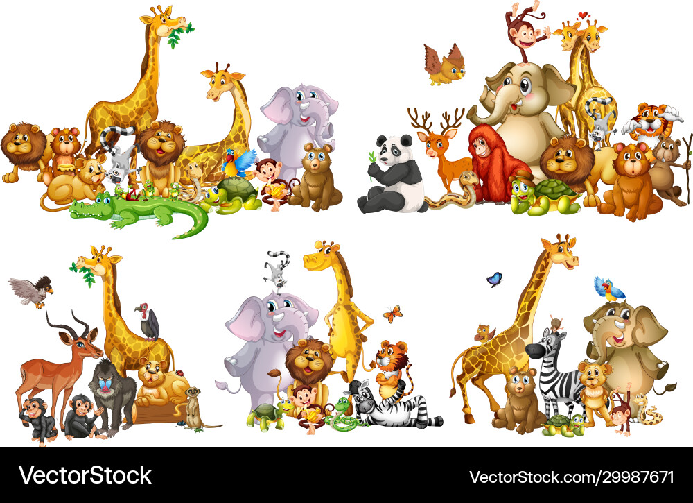 Set wild animals in groups on white background Vector Image