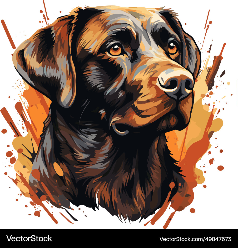 Colorful dog head Royalty Free Vector Image - VectorStock