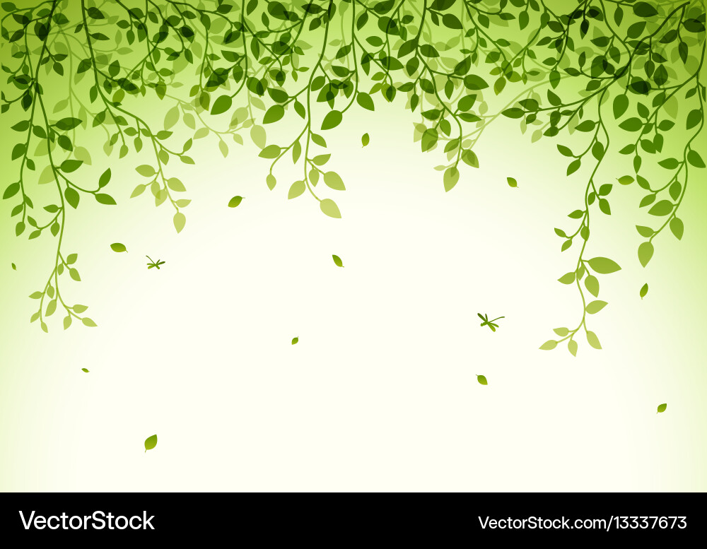 Green Leaf Background Royalty Free Vector Image