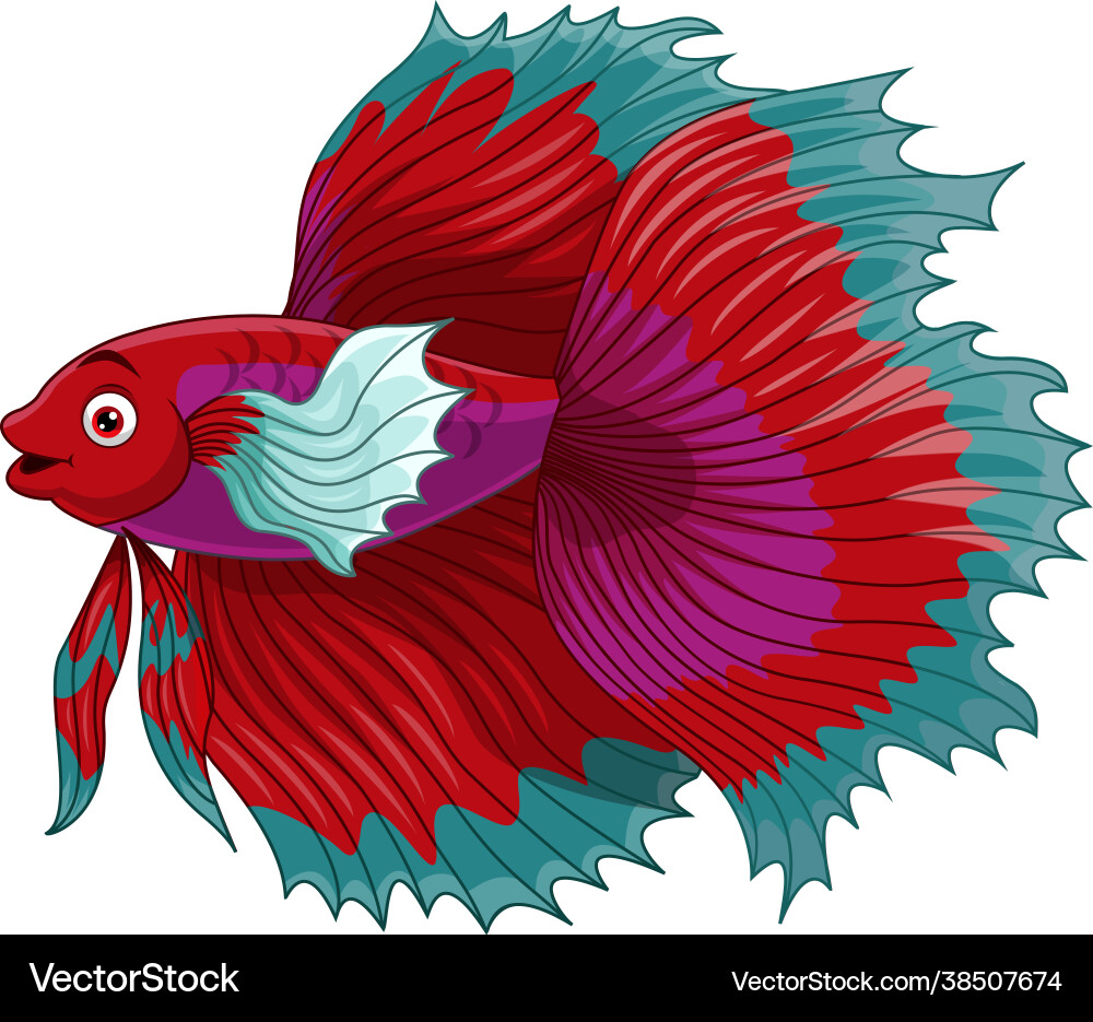 Cartoon Red Betta Fish Royalty Free Vector Image