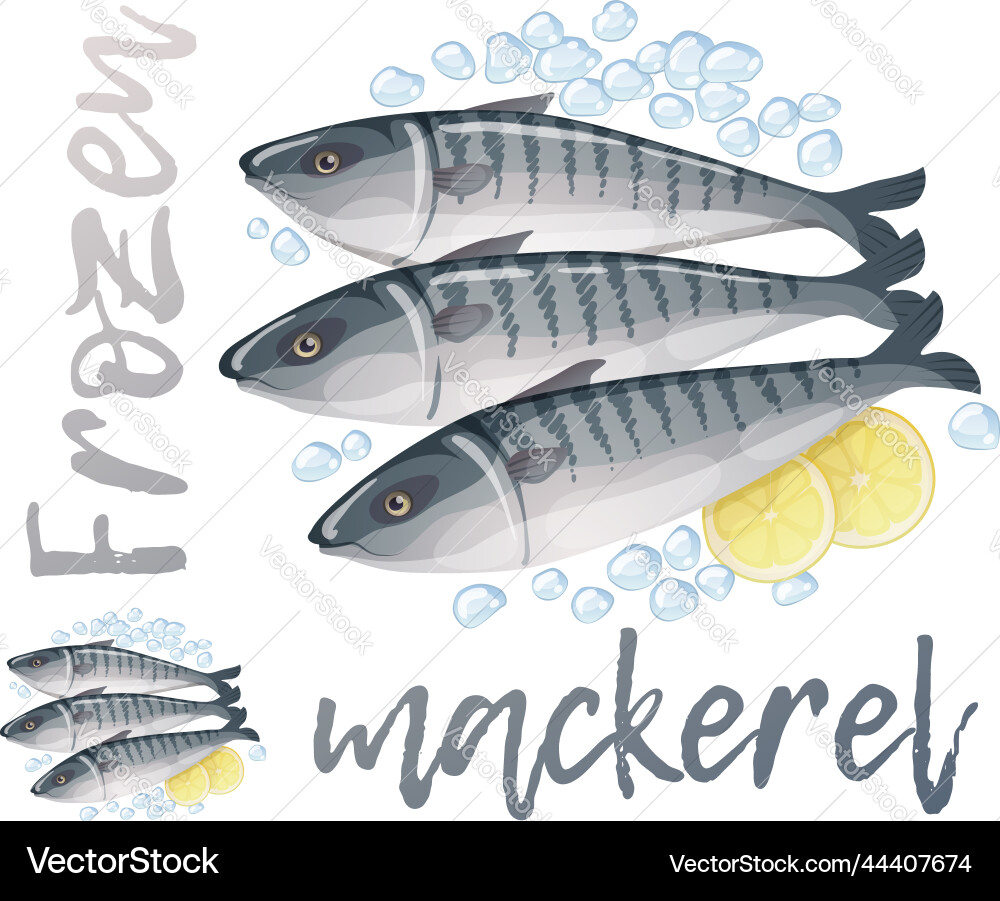 Frozen mackerel fish cartoon Royalty Free Vector Image