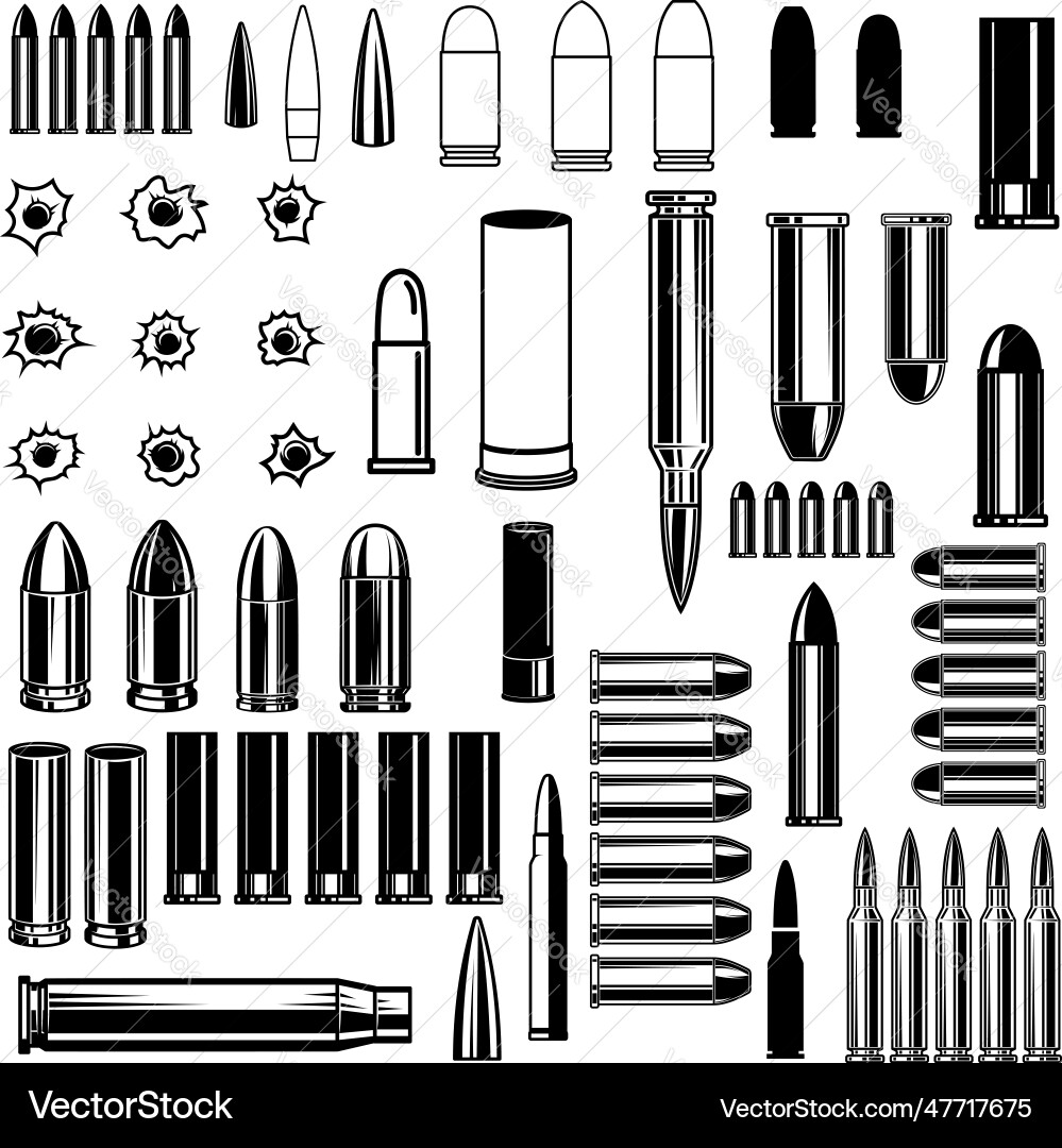 A set of shells bullets and cartridges perfect Vector Image