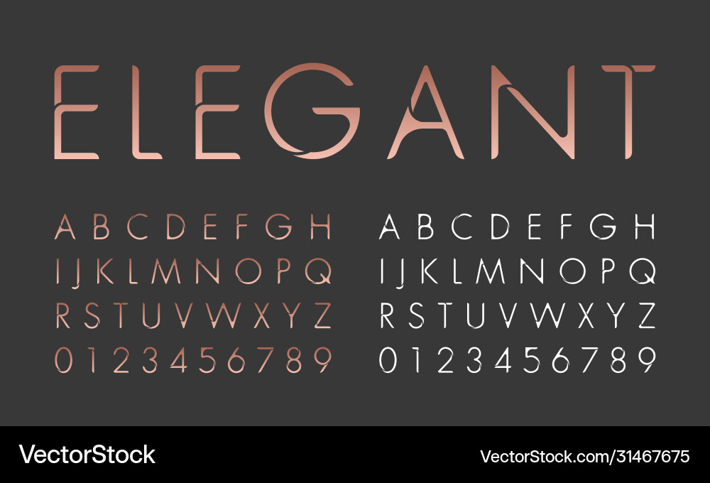 Alphabetic font and number Royalty Free Vector Image