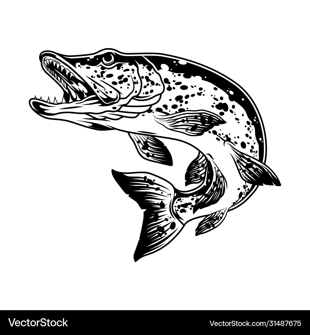 Pike fish monochrome concept Royalty Free Vector Image
