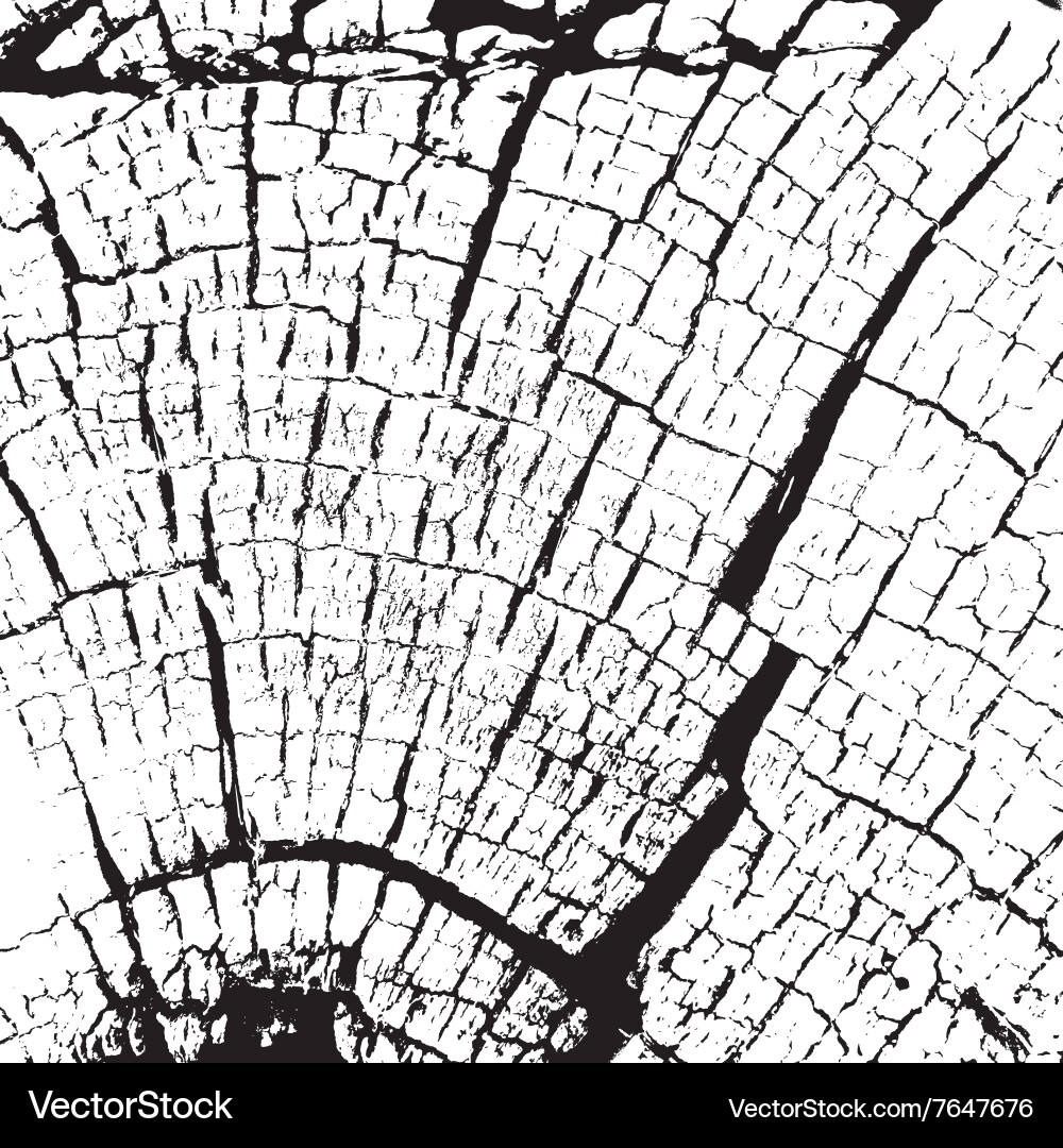 Dry cracked wood Royalty Free Vector Image - VectorStock