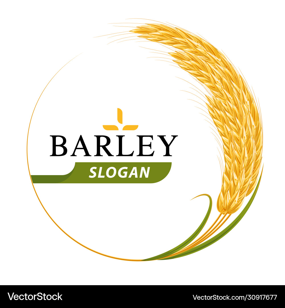 Bio Gerste Produkt Logo Design Template Lizenzfreier Vektor