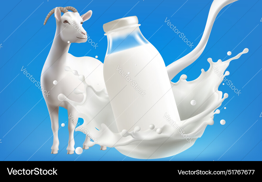 Dairy poster milk products goat and splash Vector Image