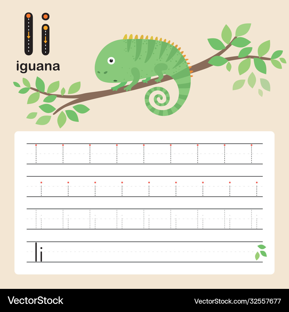 I iguana alphabet tracing worksheet for preschoo Vector Image