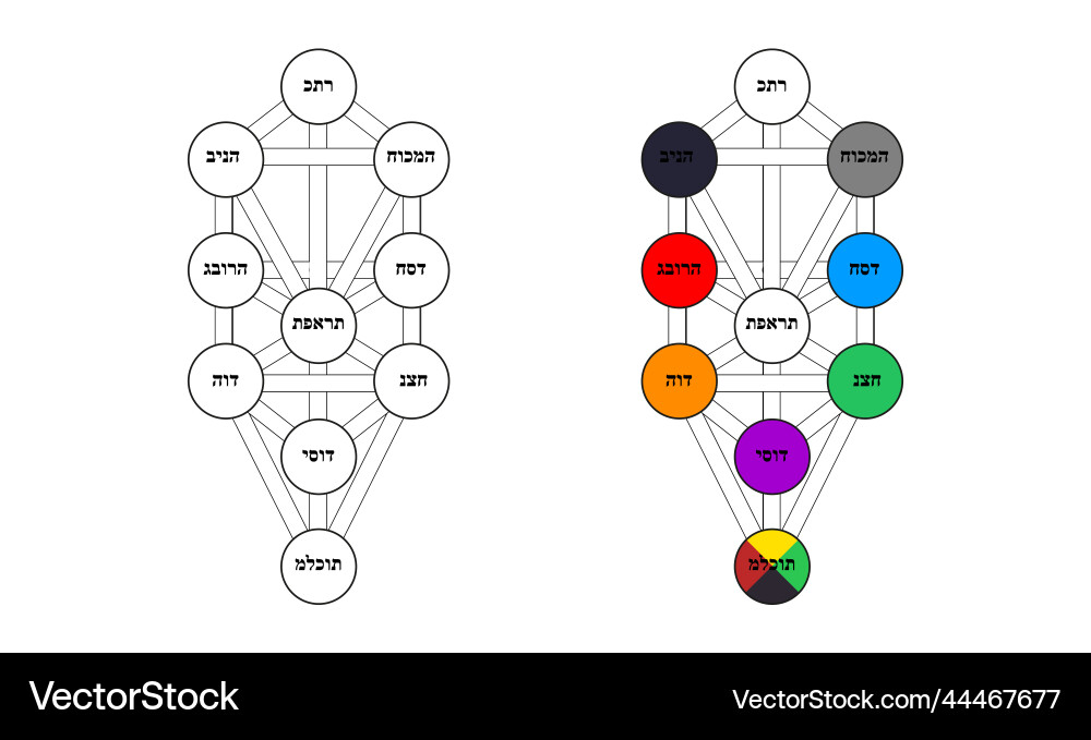 Kabbalah sephiroth tree of life isolated Vector Image