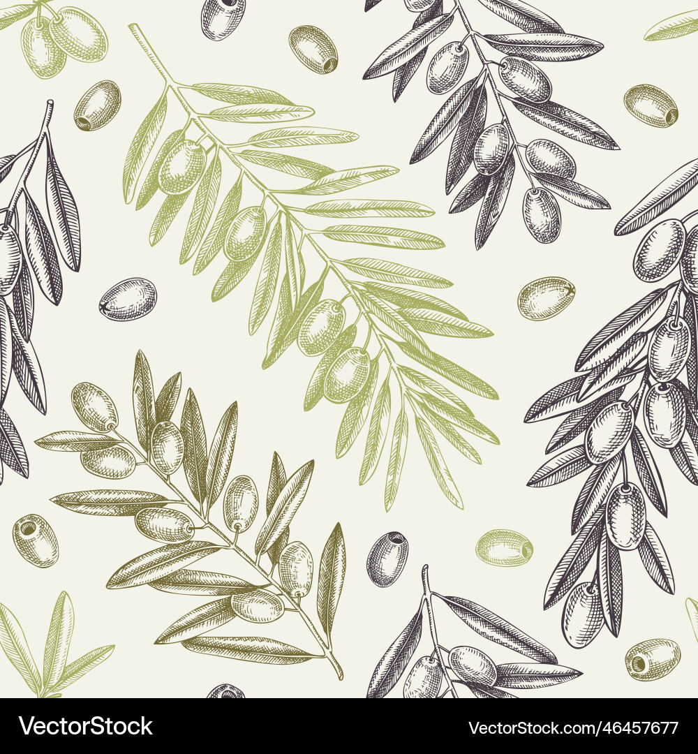 Olive branch seamless pattern background Vector Image