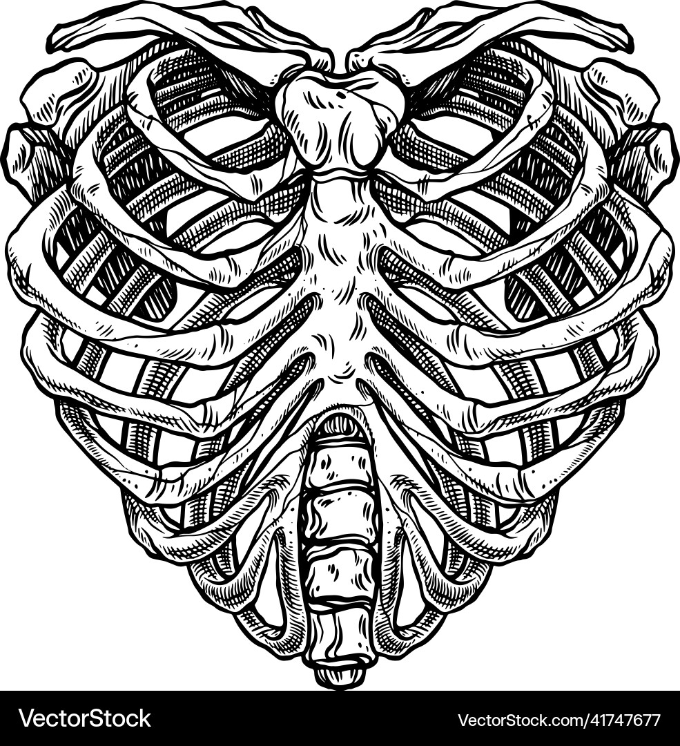 Skeleton heart shape Royalty Free Vector Image