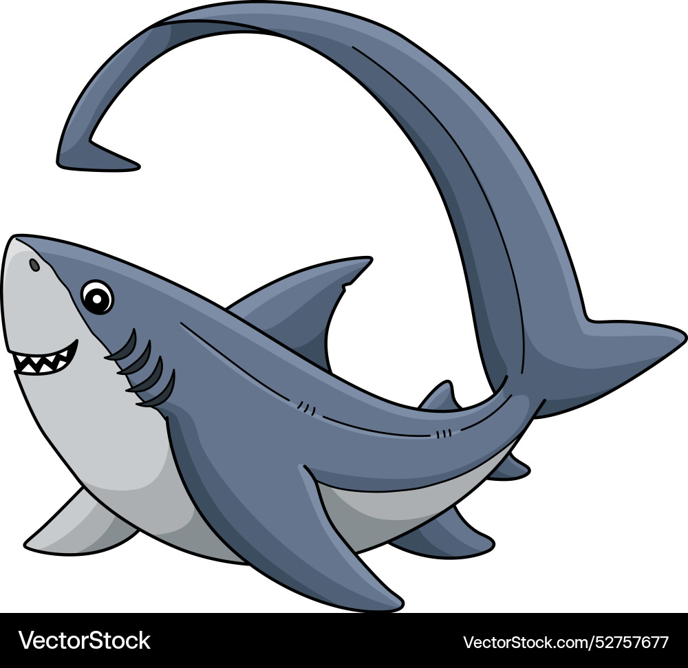 Thresher shark cartoon colored clipart Royalty Free Vector