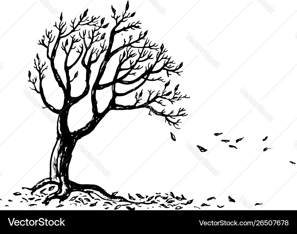 Autumn Tree Silhouette with Falling Leaves Vector Image