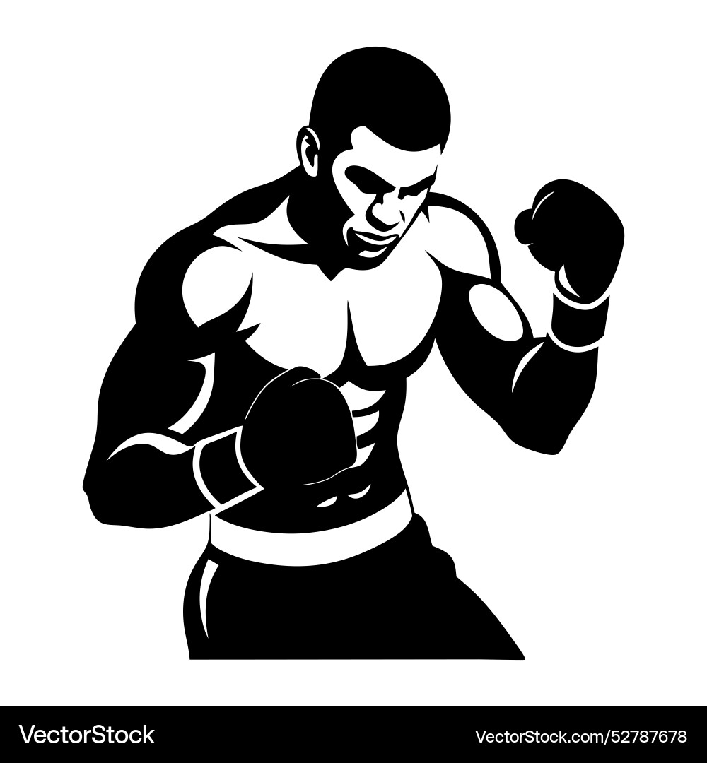 Boxing poses hook Royalty Free Vector Image - VectorStock