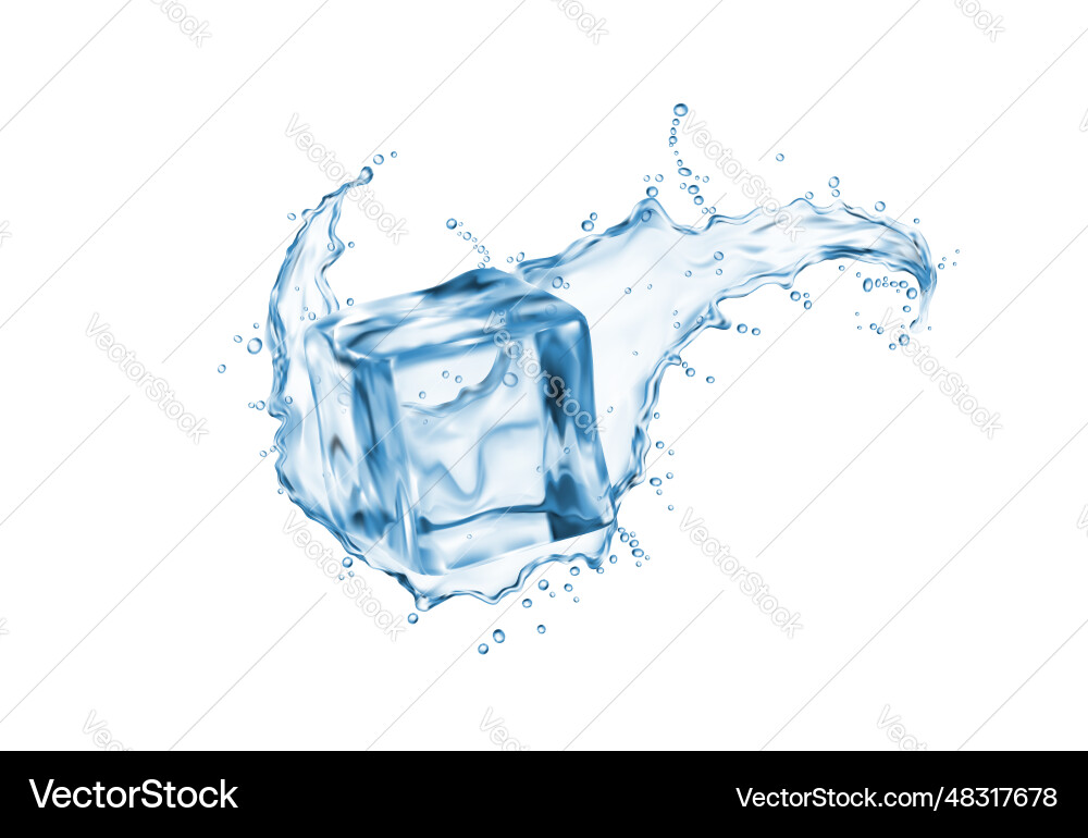Swirl water splash ice cube and little drops Vector Image