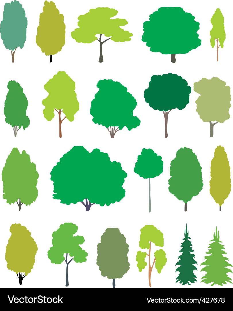 Trees cartoon set Royalty Free Vector Image - VectorStock