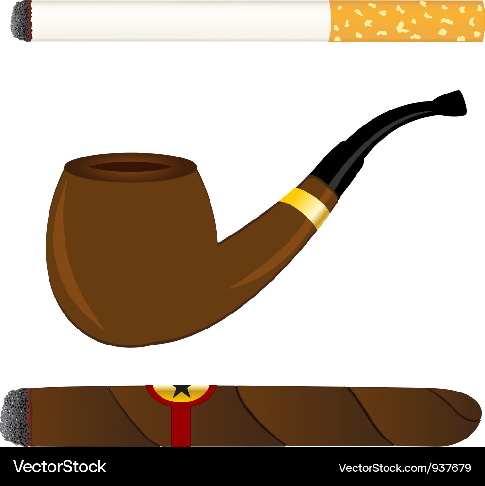Cigarette pipe and cigar Royalty Free Vector Image