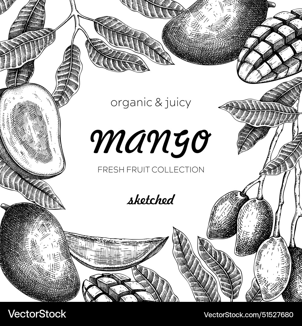 Tropical fruit frame ripe mango sketch hand drawn Vector Image