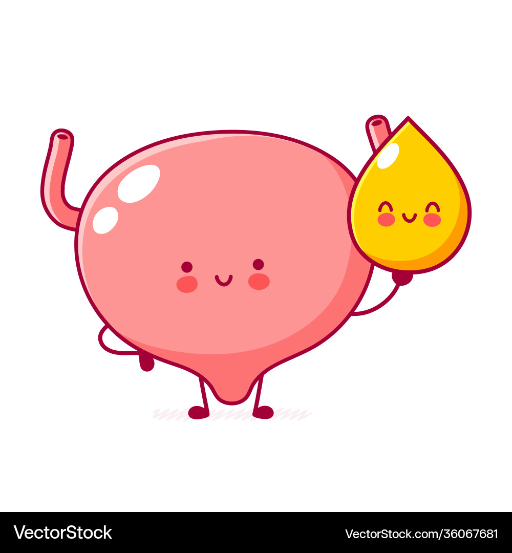 Cute happy funny human bladder organ character Vector Image