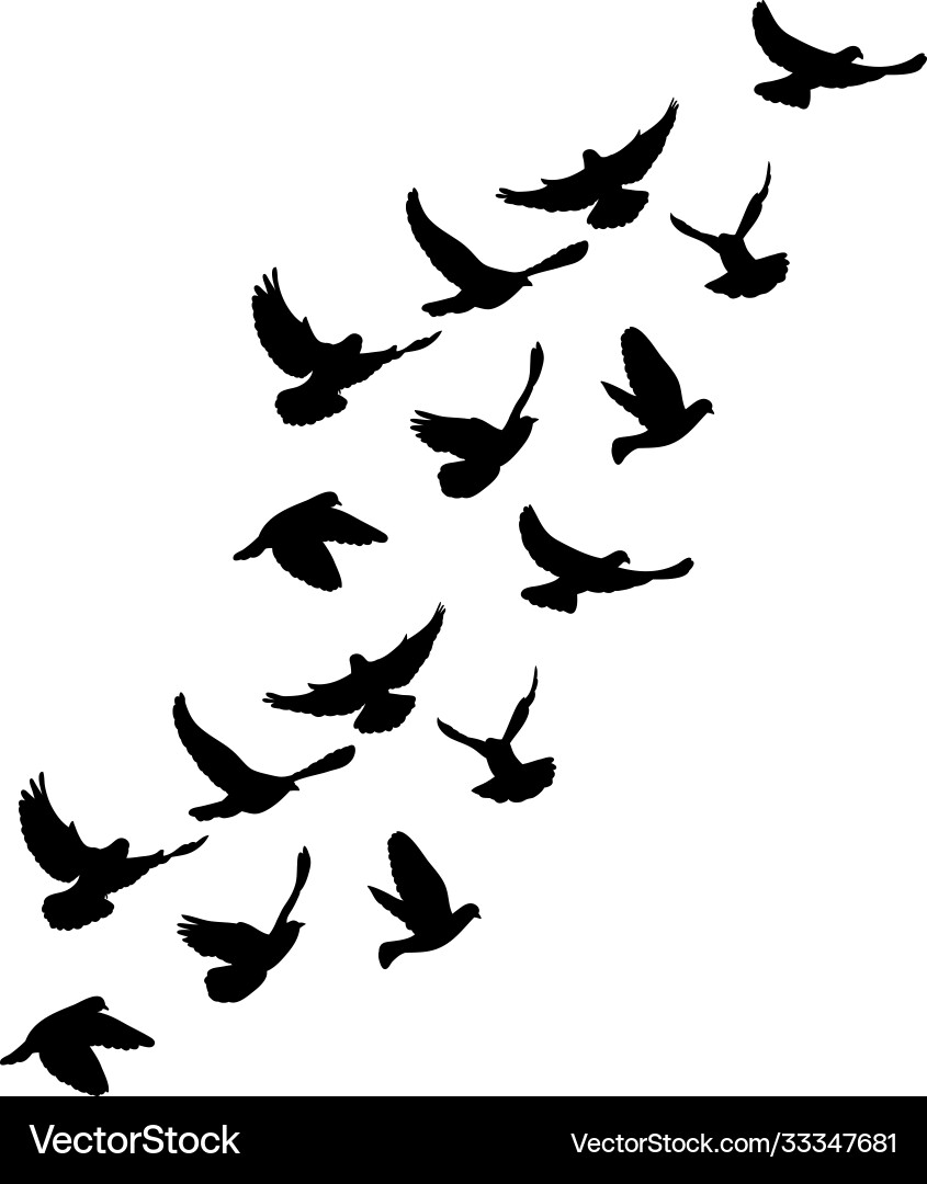 Flying flock doves silhouette Royalty Free Vector Image