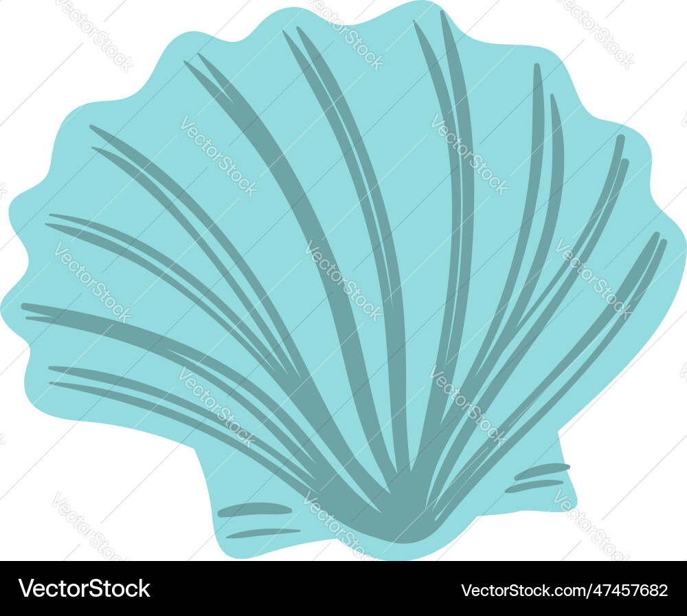 Cockle clam seashell Royalty Free Vector Image