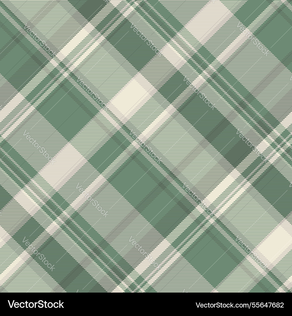 Elegant sage green and cream diagonal plaid Vector Image