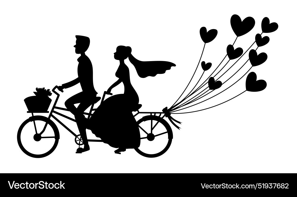 Wedding couple riding bicycle just married couple Vector Image