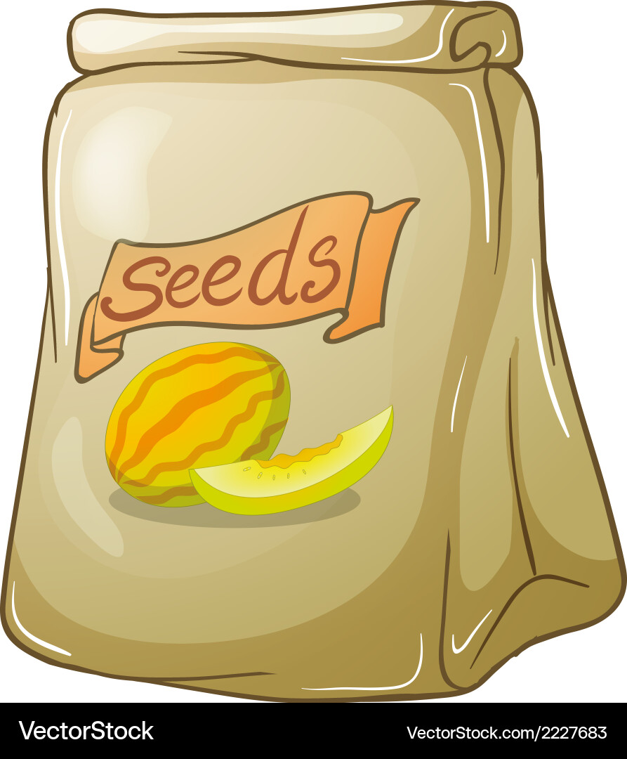 A pack of watermelon seeds Royalty Free Vector Image