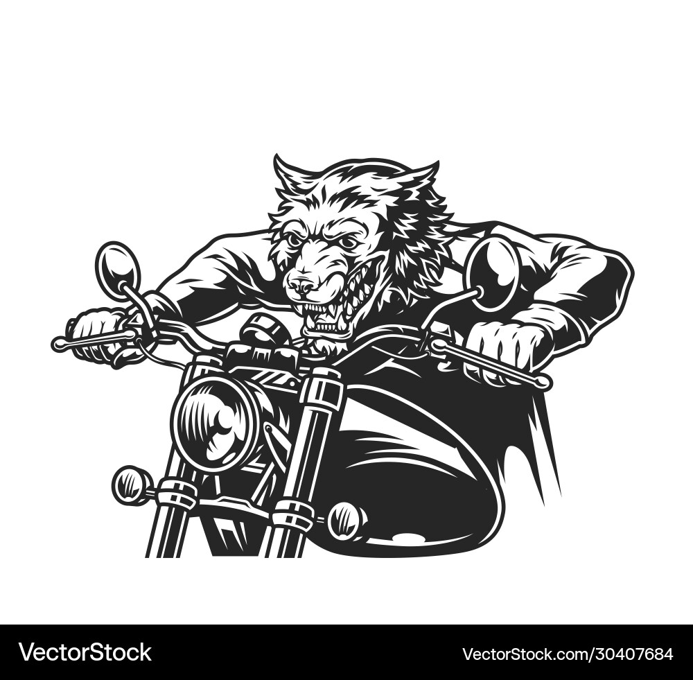 Aggressive wolf head rider driving motorcycle Vector Image