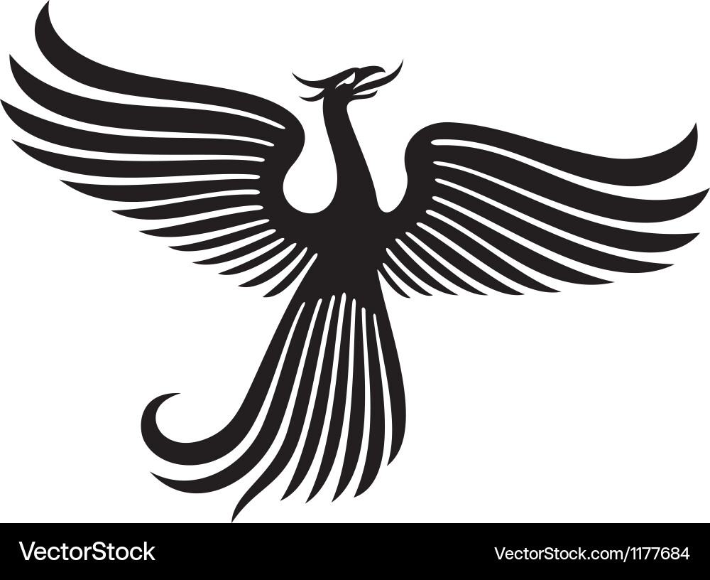 Phoenix bird Royalty Free Vector Image - VectorStock