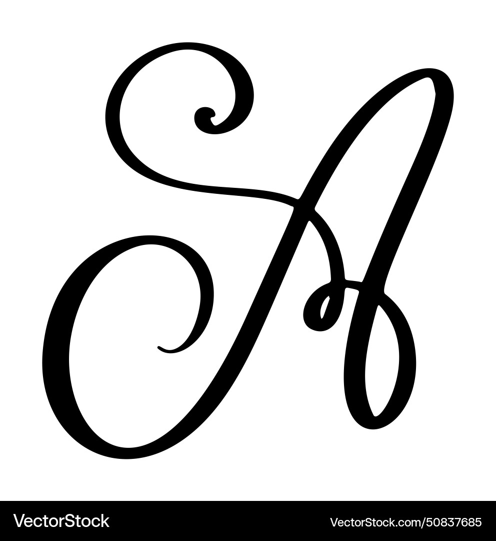 Hand drawn calligraphy letter a script Royalty Free Vector