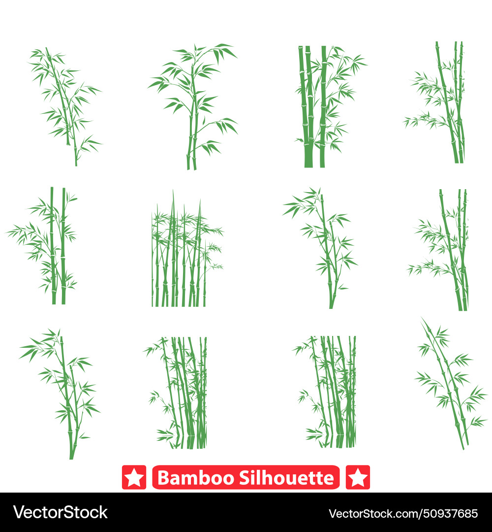 Natures elegance captured bamboo silhouette Vector Image