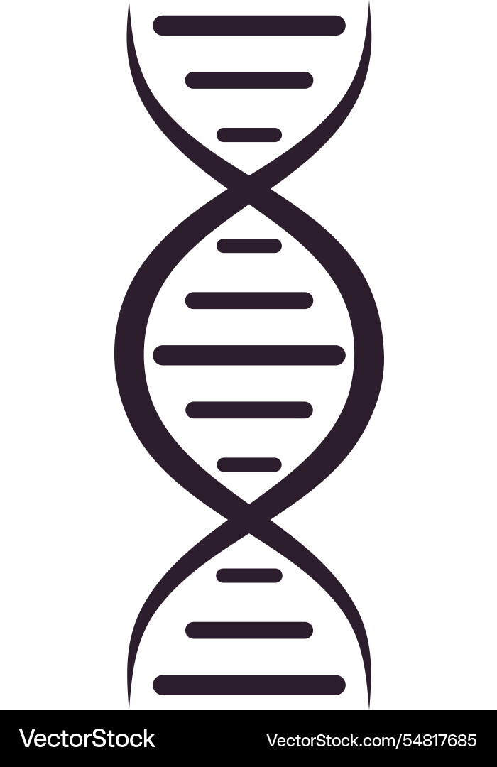 Stylized dna strand representing the intricate Vector Image