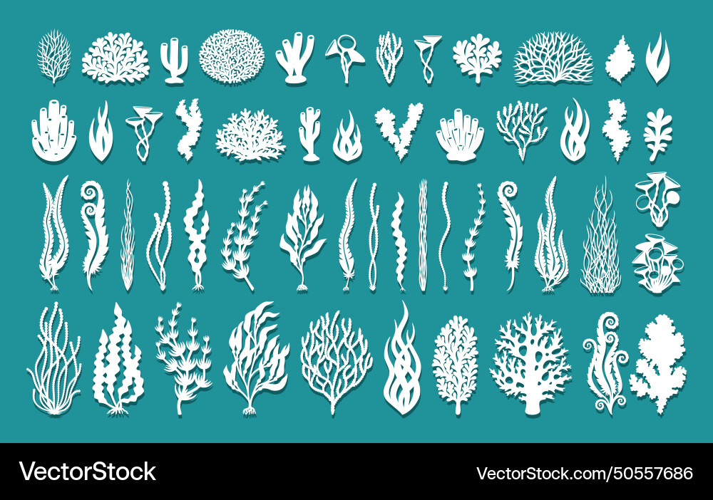 Big set of sea plants Royalty Free Vector Image