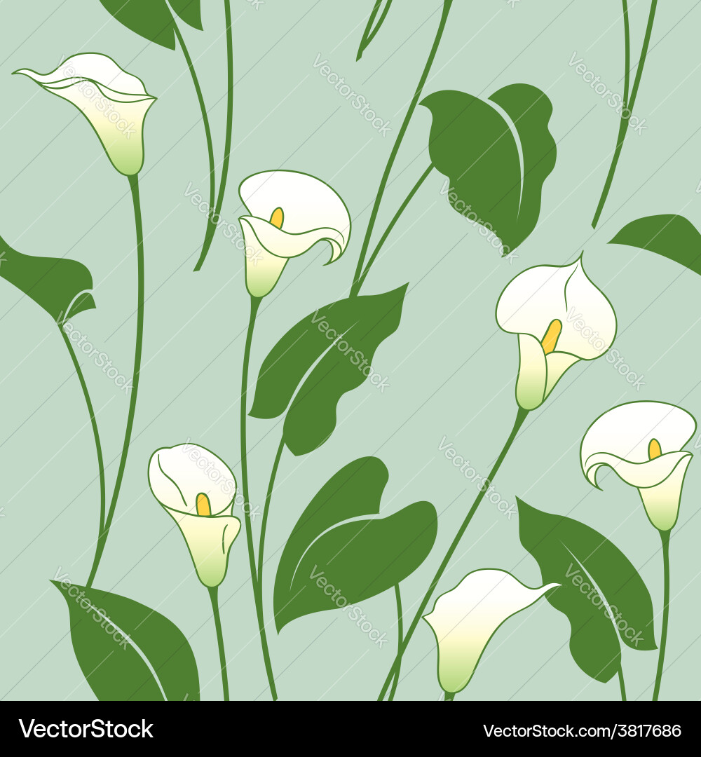 Calla Lily Floral Pattern Royalty Free Vector Image