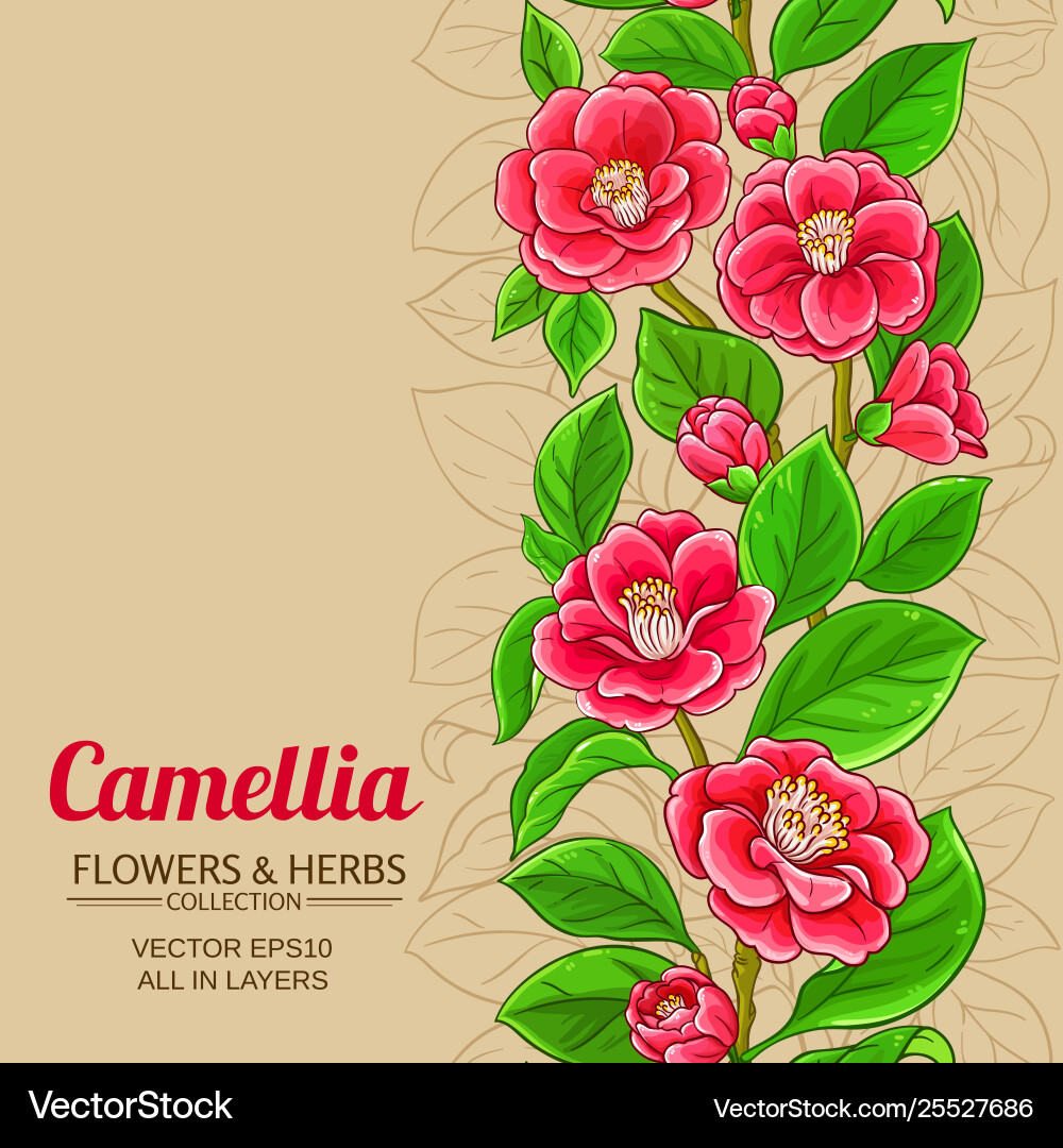 Camellia branches pattern Royalty Free Vector Image