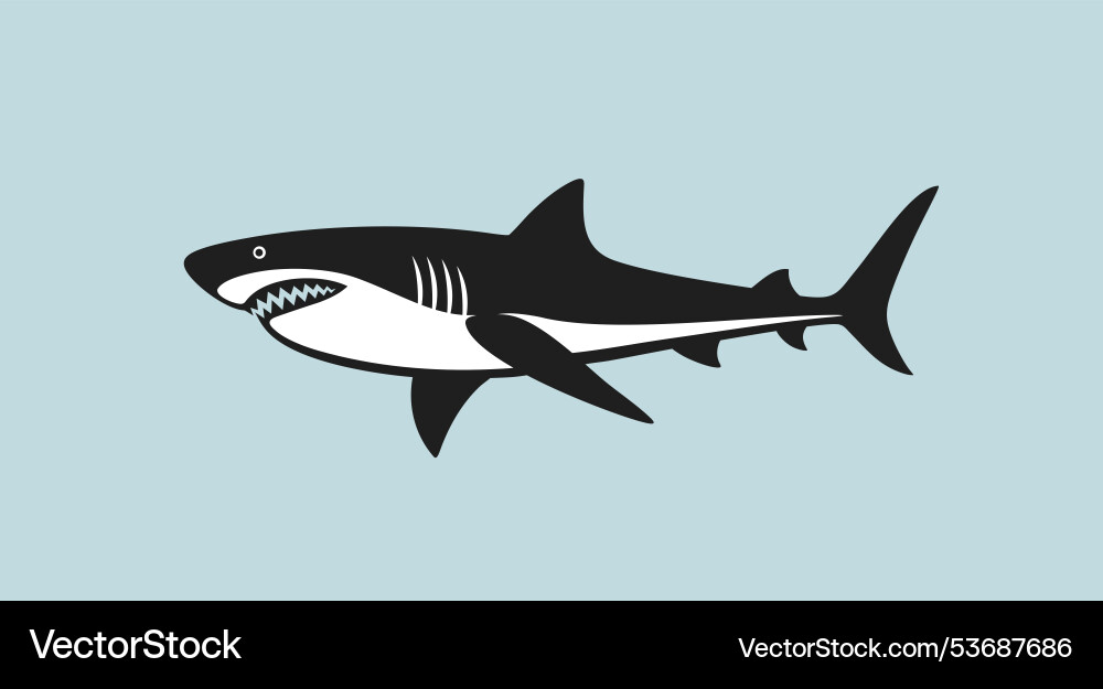 Shark Royalty Free Vector Image - VectorStock